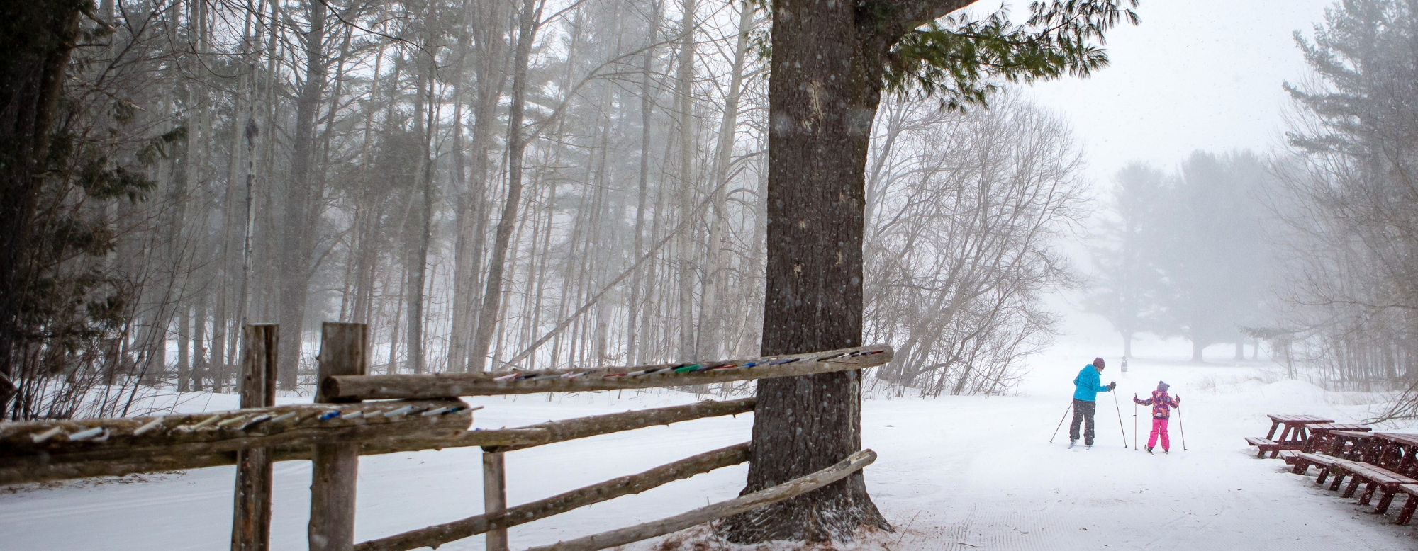 Horseshoe Valley Resort | 4 Seasons of Adventure in Barrie, Ontario