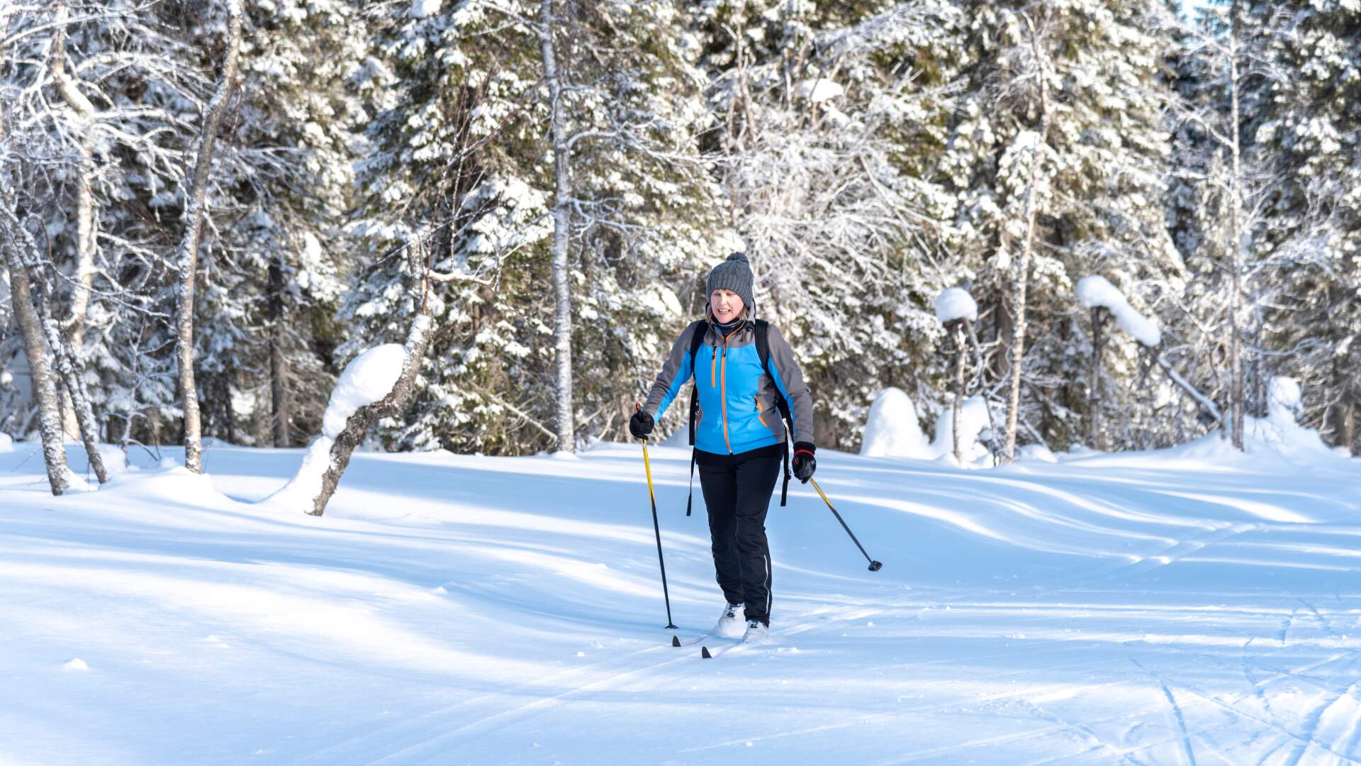 Horseshoe Valley Resort | 4 Seasons of Adventure in Barrie, Ontario